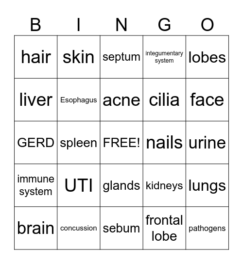 YMV Human Anatomy Bingo Card