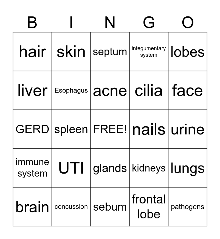 YMV Human Anatomy Bingo Card