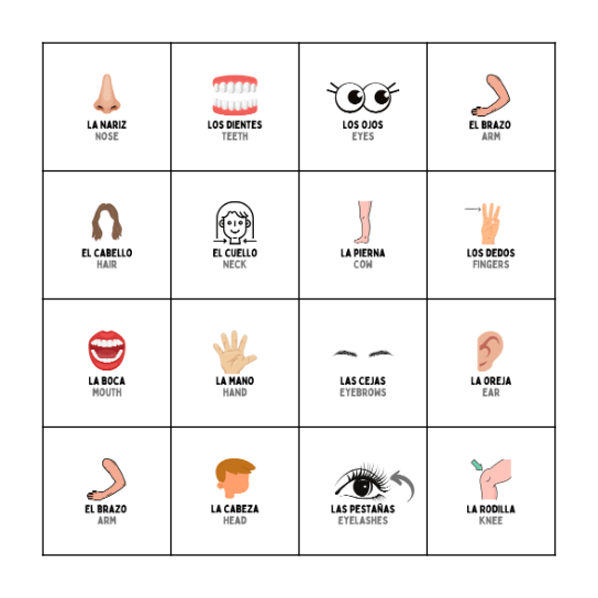 Partes del cuerpo Bingo Card