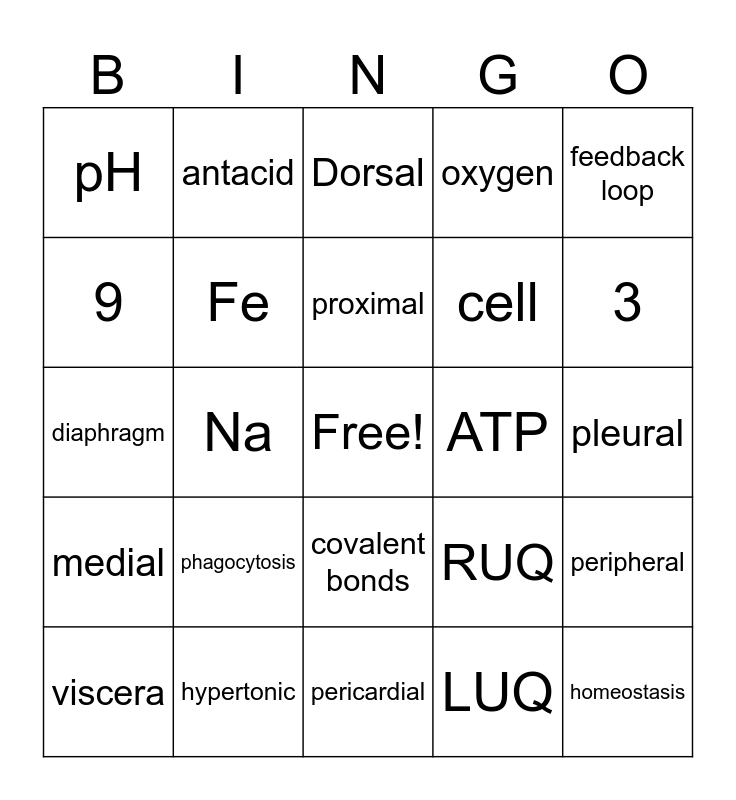 A&P UNIT 1 Bingo Card