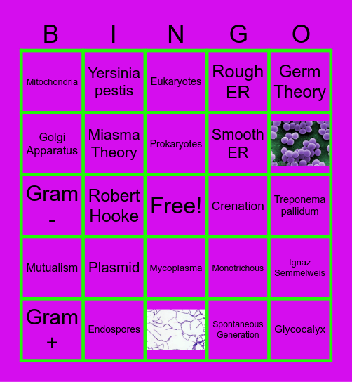Unit 1B Bingo! Bingo Card