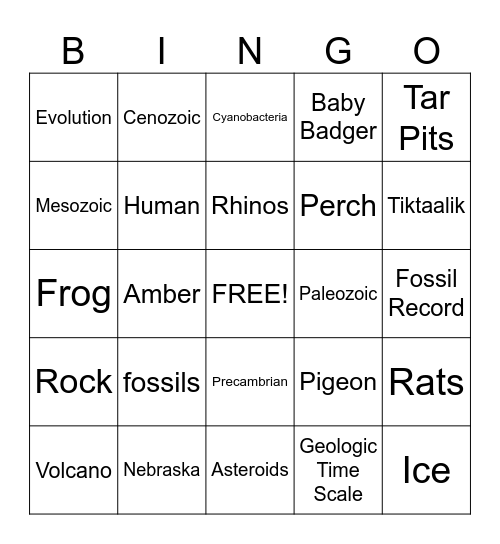 FOSSILS Bingo Card