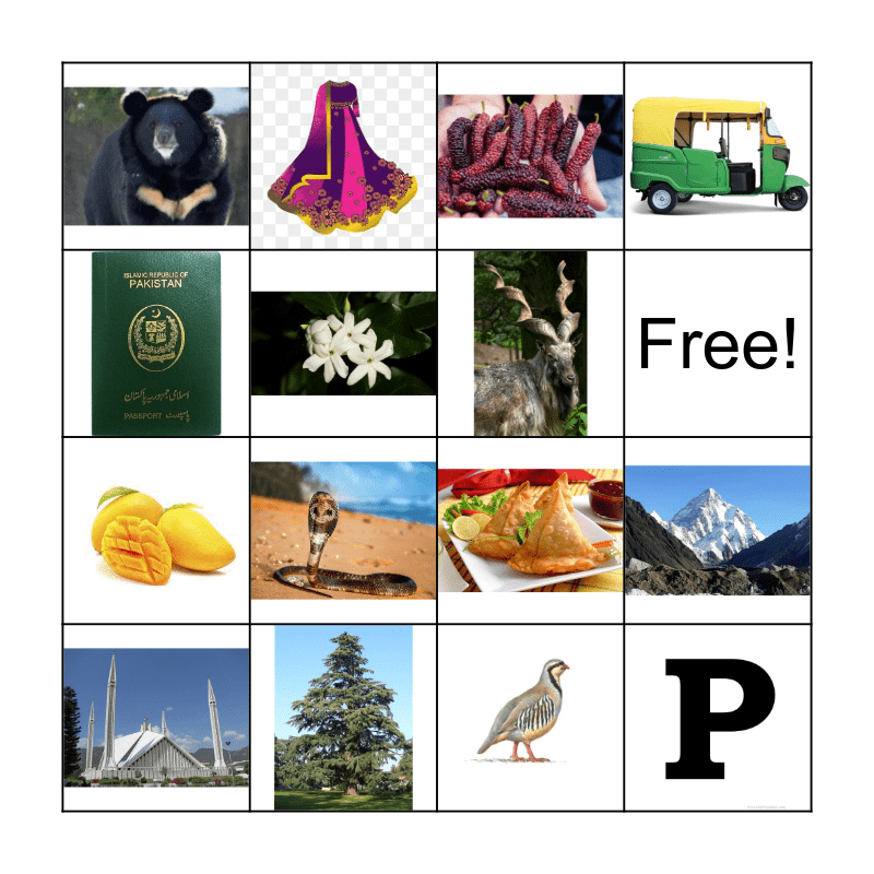 PAKISTAN BINGO! Bingo Card