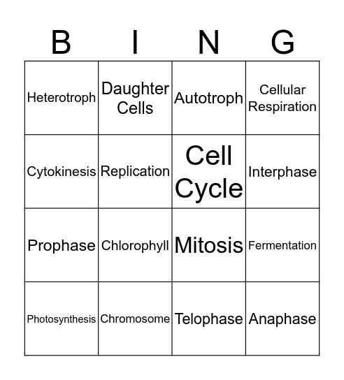 Cell Processes and Energy Bingo Card