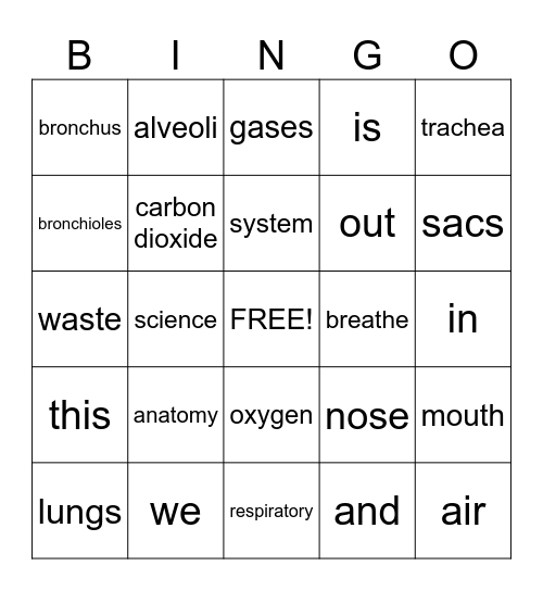 Respiratory System Bingo Card