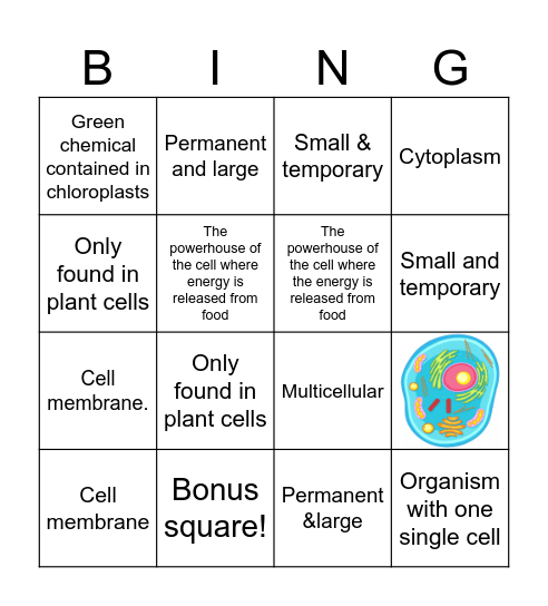 Cells and their Orangelles Bingo Card