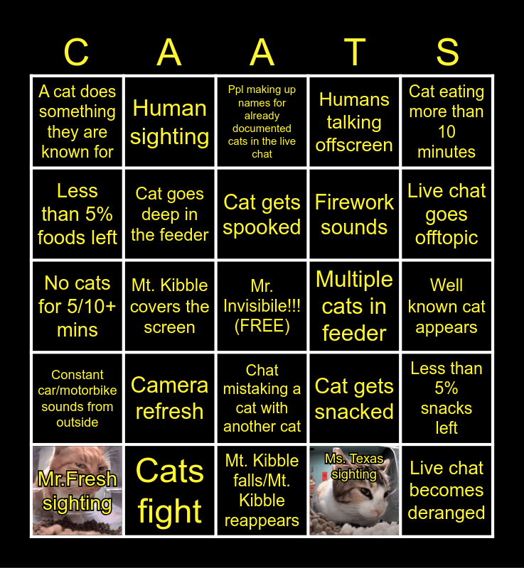 HELLO STREET CAT BINGO Card