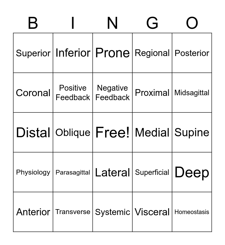 A & P 101 Bingo Card