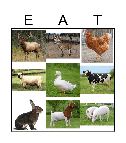 Livestock Bingo Card