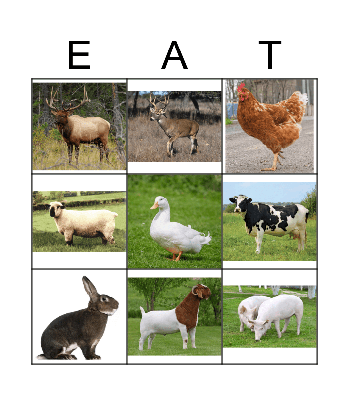 Livestock Bingo Card