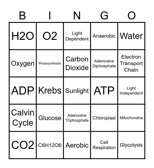 Cellular Energy Bingo Card