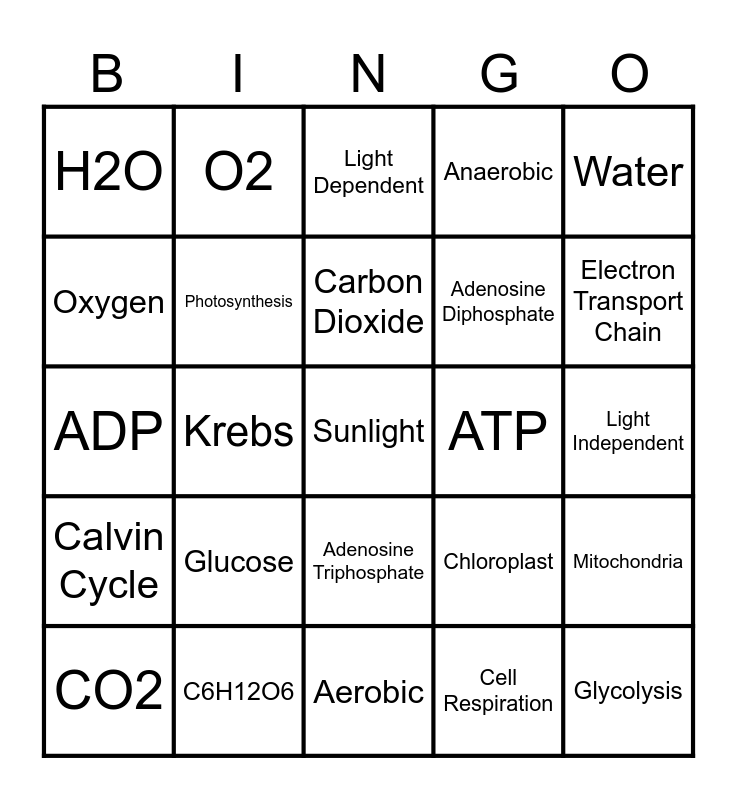 Cellular Energy Bingo Card