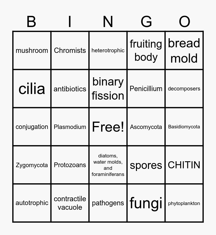 Fungi Protista Bingo Card