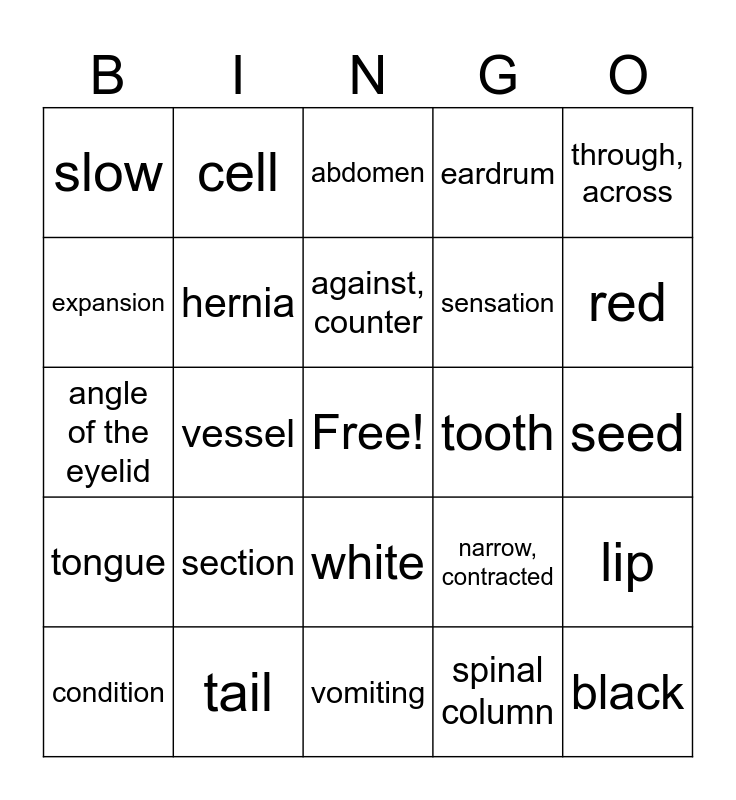 Dean Vaughn Lesson 4 Bingo Card