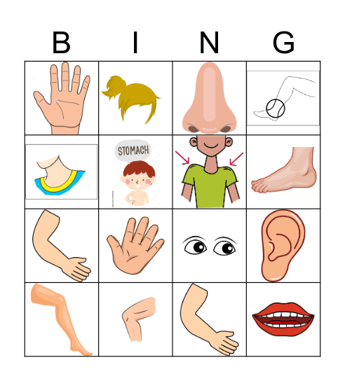 El Cuerpo Bingo Card