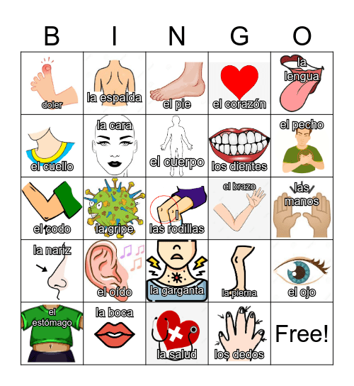 EL CUERPO HUMANO Bingo Card