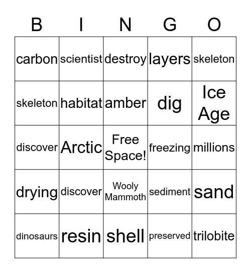 Fossil Bingo Card