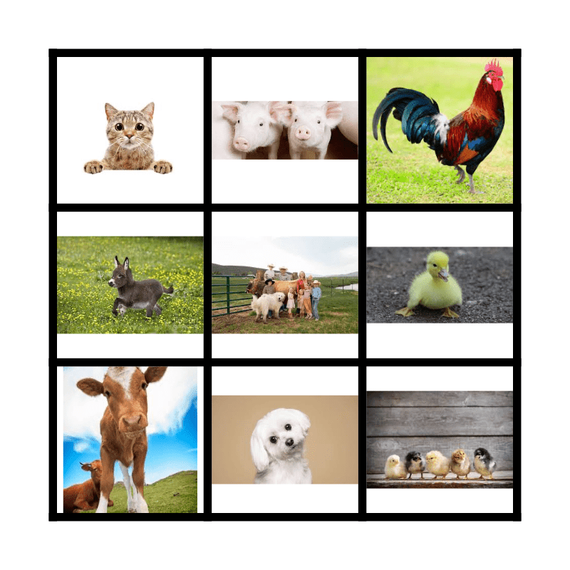 "Vengan a Ver Mi Granja" Bingo Card