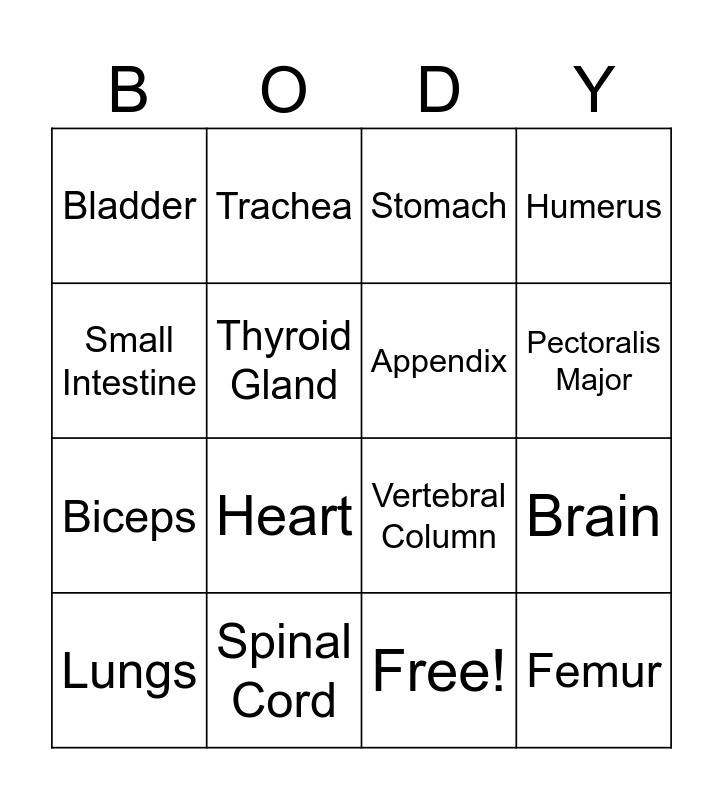 Human Body Bingo! Bingo Card