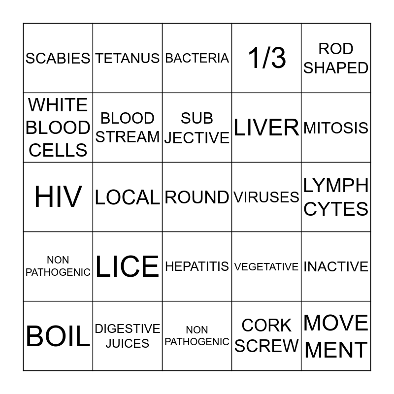 CHAPTER 4 TEST REVIEW Bingo Card