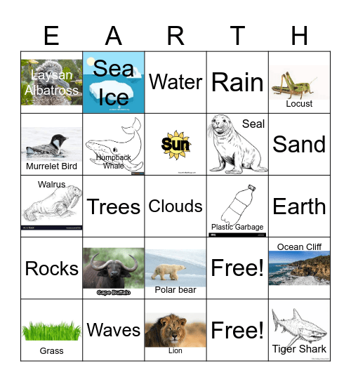 Our Planet Bingo Card