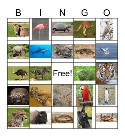 Swiss Family Robinson Animals Bingo Card