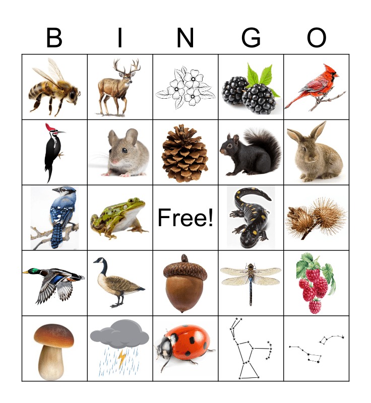 Cabin Bingo 2024 Bingo Card