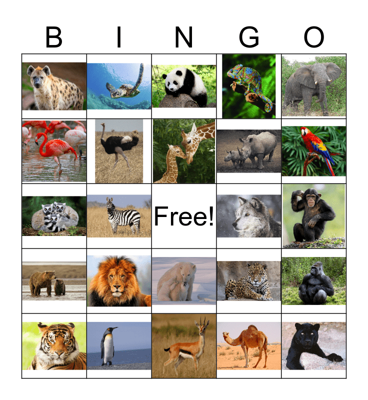 Zoo Bingo Card