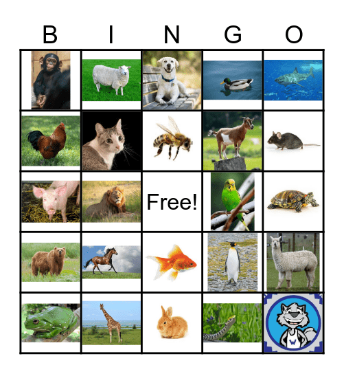 Los animales Bingo Card