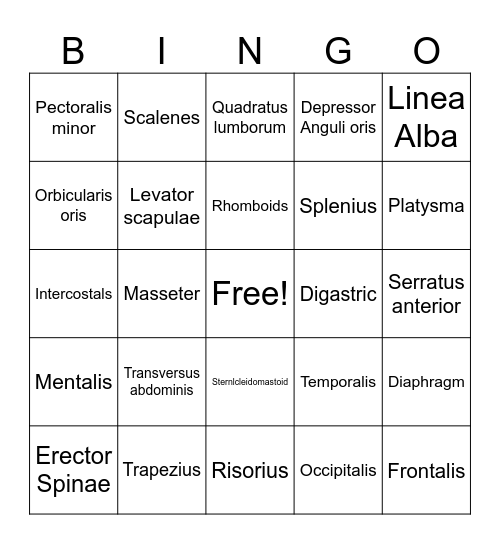 Muscles Bingo Card