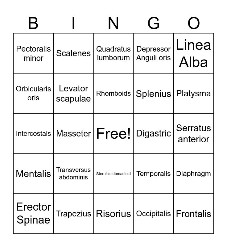 Muscles Bingo Card