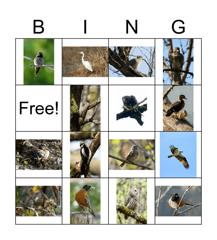 Oaks Bottom Bird Bingo Card
