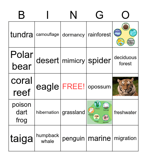 Ecosystems and Adaptations Bingo Card