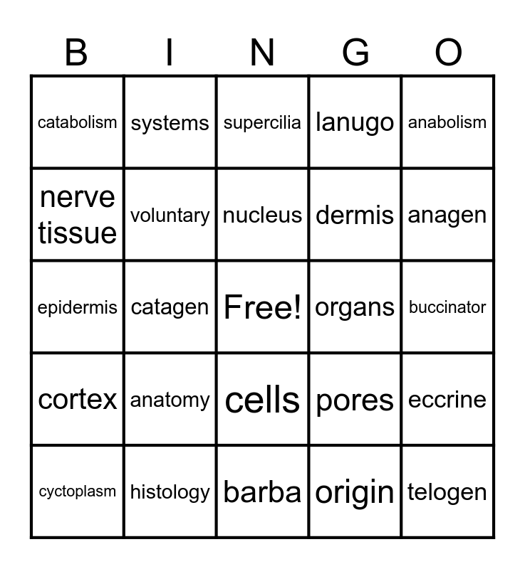 ANATOMY Bingo Card