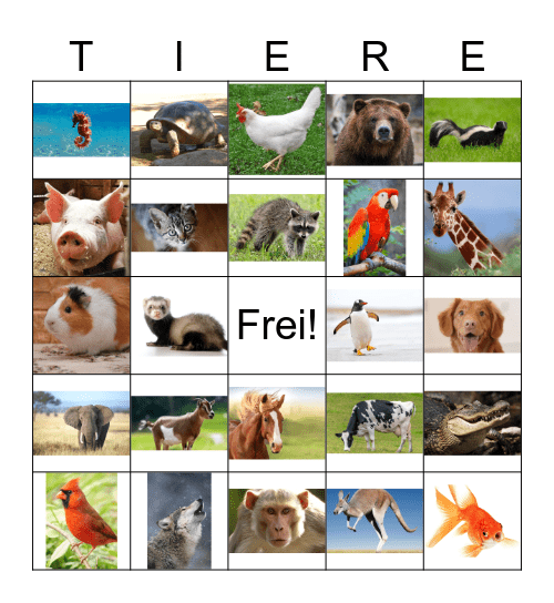 Tiere 2 Bingo Card
