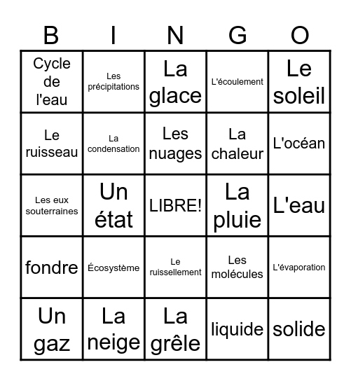 Le Cycle de L'eau Vocabulaire Bingo Card