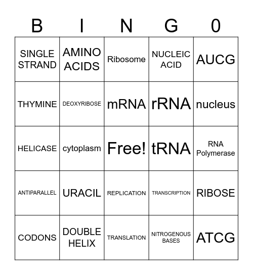 DNA and RNA Bingo Card