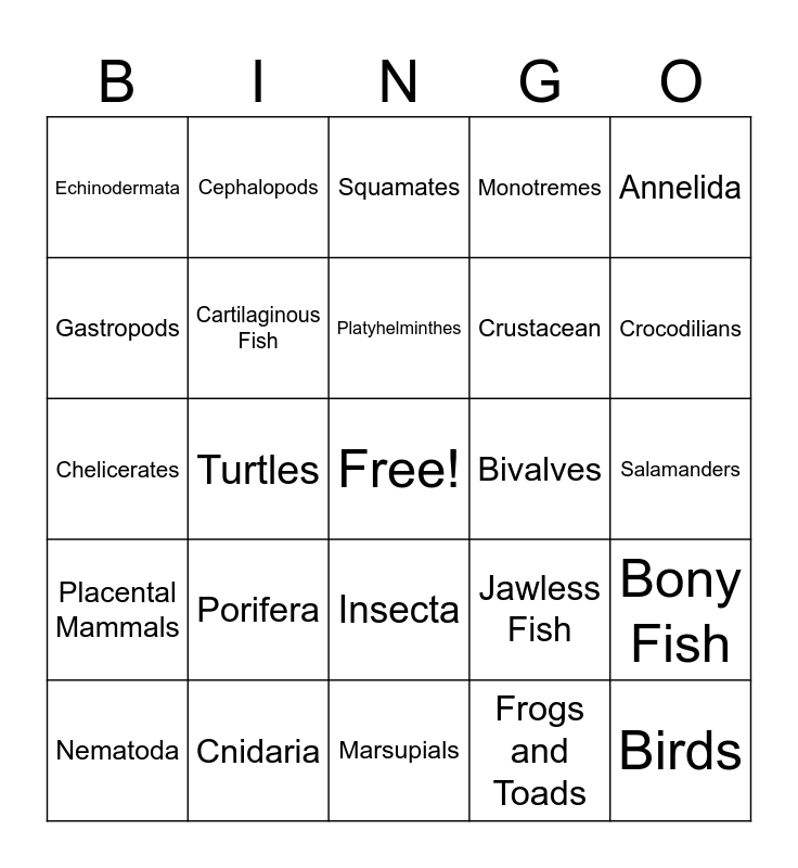Animal Classification Bingo Card