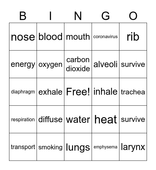 Respiratory System Bingo Card