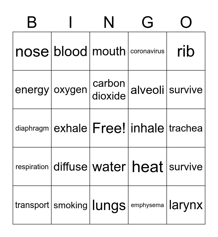 Respiratory System Bingo Card