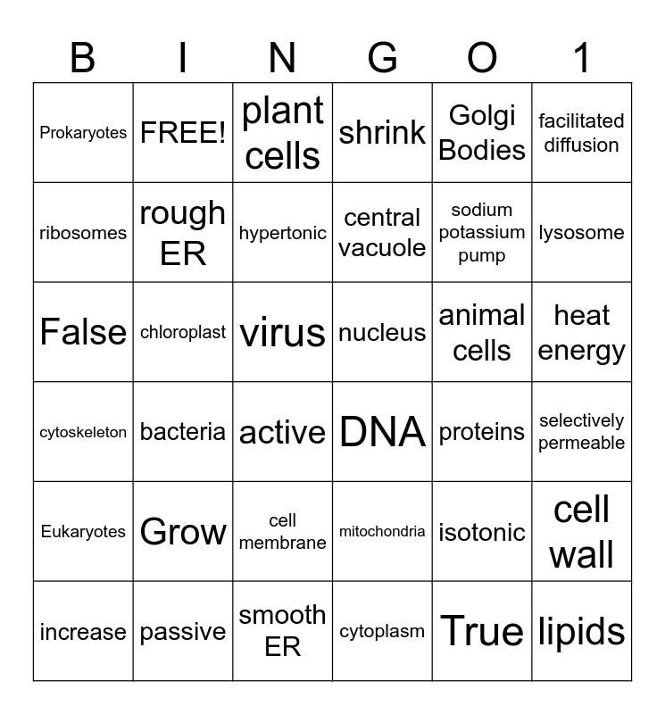 Cells & Cell Processes Bingo Card