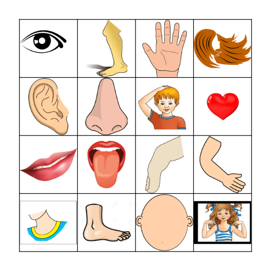 Partes del cuerpo Bingo Card