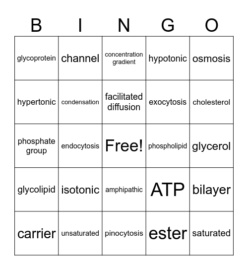 Lipids & Cell Membrane Bingo Card