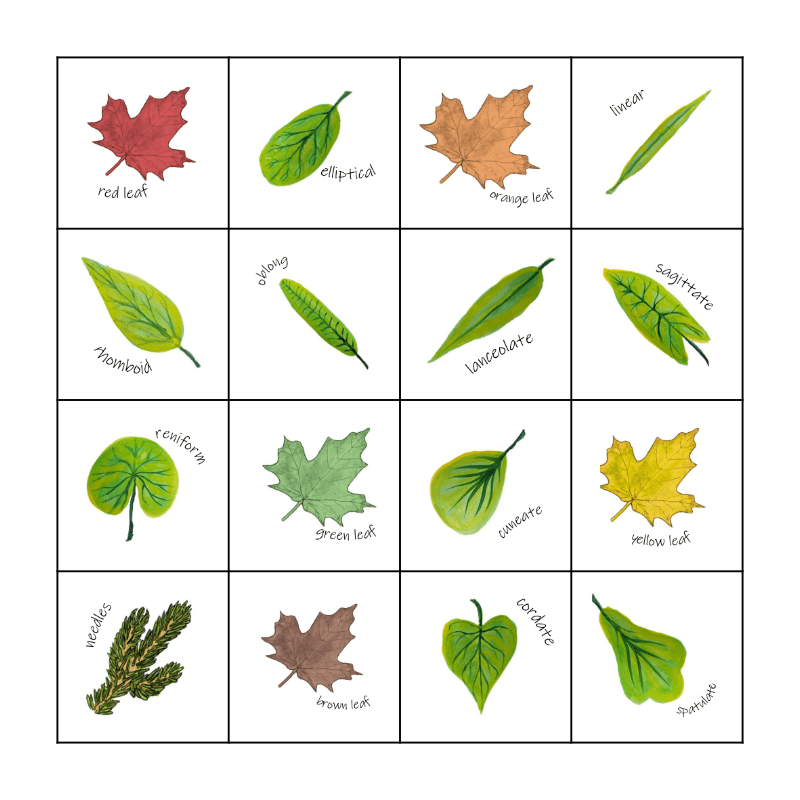 Leaf Bingo Card