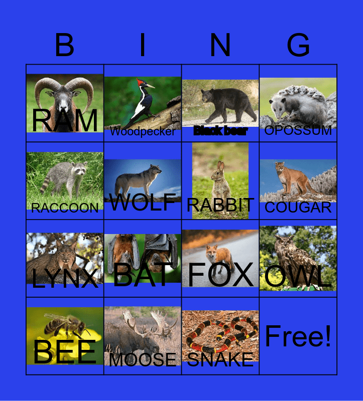 FOREST ANIMALS Bingo Card