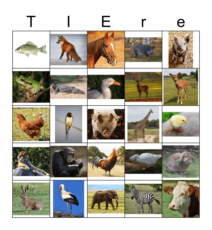 Tiere Bingo Card
