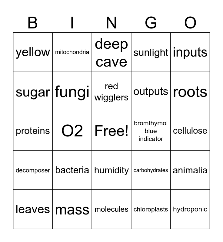Photosynthesis and Cellular Respiration Bingo Card