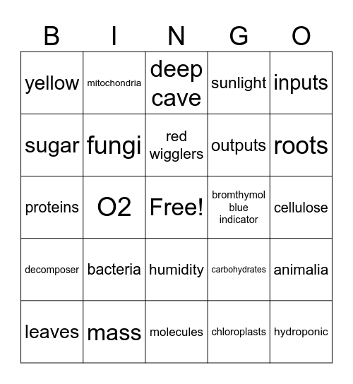 Photosynthesis and Cellular Respiration Bingo Card