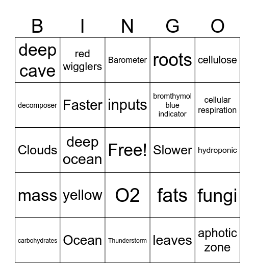 Photosynthesis and Cellular Respiration Bingo Card