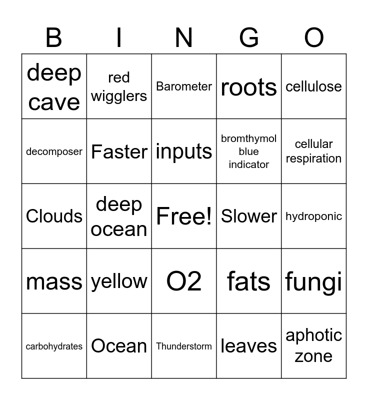 Photosynthesis and Cellular Respiration Bingo Card
